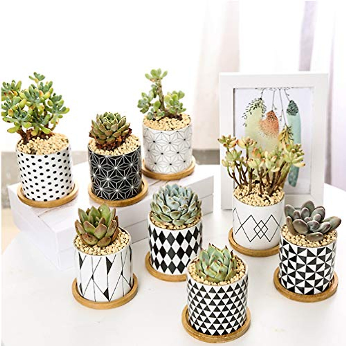 Cabilock Plant pots Ceramic Bonsai pots Ceramic Planter pots Small pots Ceramic Plants Pots Ceramic pots Tiny Plant Succulent pots Mini vases Round vase Simple Flower Pot Desktop Mini Basin