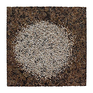ACTINTOOL Single Plate Coating Removing Concrete Stone Texturing Bush Hammer Bit for Angle Grinder, Concrete Repair Patch Prepare Bushing Hammer Tool for Polisher