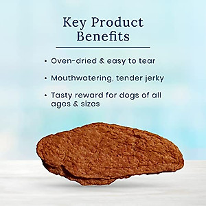 Blue Buffalo Nudges Jerky Cuts Natural Dog Treats, Chicken, 16oz Bag