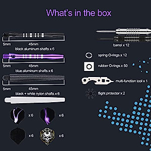 12 Pack Darts Metal Tip Set 22/24 Grams, Steel Tip Darts with Premium Black Purple Aluminum Shafts, Extra 50 Rubber O-rings 6 Nylon Shafts 24 Flights 12 Spring Rings 16 Flights Protector 1 Tool Kit