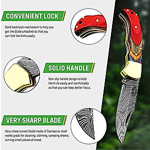Multi Wood Unique Beautiful 6.5'' Custom Handmade Damascus Steel Brass Bolster Back Lock Folding Pocket Knife Sharpening Rod 100% Prime Quality Plus Beautiful Blue Wood Stainless Steel Pocket Knive