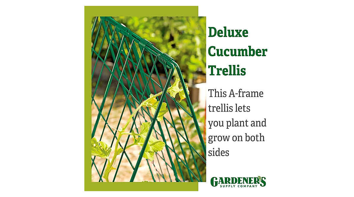 Gardener's Supply Deluxe Cucumber Trellis | Easy Harvest & Support