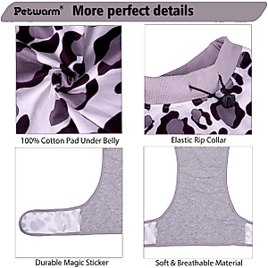 PetWarm Surgery Suit for Dogs Male - Dog Cone Alternative After Surgery - Covers Wounds, Prevents Licking - Fashionable and Protective - Lightweight and Breathable,Leopard Pattern,White,L