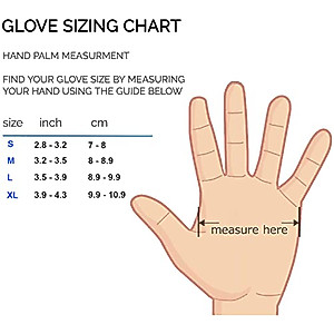 Basic Disposable Vinyl Exam Gloves 100Pcs,XL Size,Cleaning Gloves,Food Service Gloves,Powder Free,Latex Free,Non-Sterile for All Purposes Gloves,Blue (BMPF3004B)
