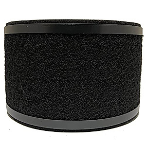 Nispira Replacement Filter L True HEPA + Activated Carbon Pre Filter Compatible with GermGuardian Air Purifier AC4200W FLT4200, 1 Pack