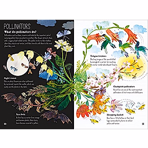 The Big Book of Blooms (The Big Book Series)