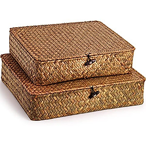 Elsjoy 2 Pack Seagrass Baskets with Lid, Wicker Storage Baskets Flat Rattan Storage Bins, Woven Organizer Baskets for Shelf, Closet, Bedroom