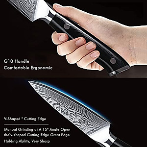 Professinal Damascus steel VG10 Core Kithen Chef Knife Set (Gentleness Raindrop Patter 5 PC)