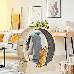 Homegroove Cat Exercise Wheel for Indoor Cats, Cat Running Wheel with Carpeted Runway, Cat Sport Treadmill Wheel for Kitty’s Longer Life, Fitness Weight Loss Device, 39.3" H Natural Wood Color(M)
