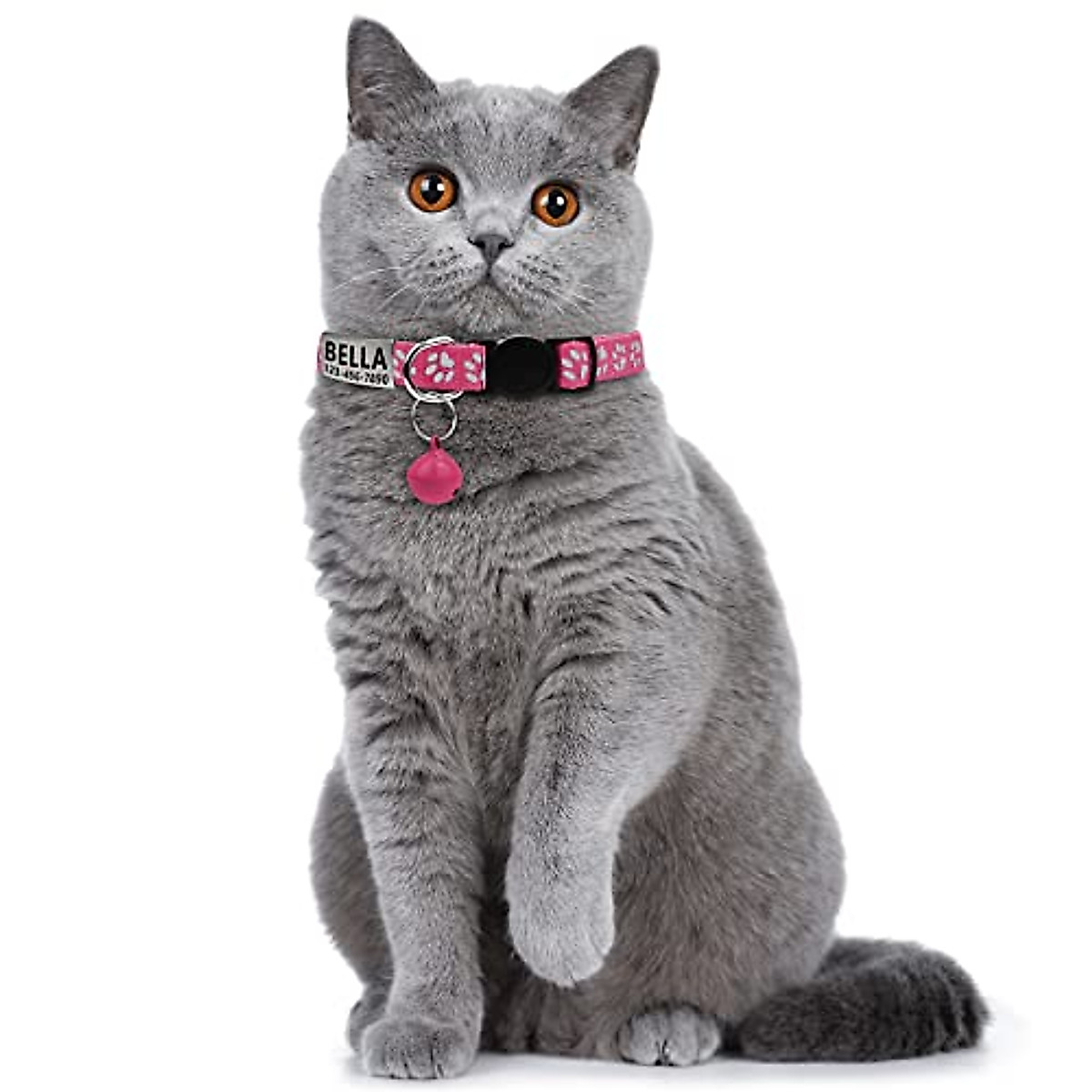 LaReine 2 Pack Cat Collar Personalized, Breakaway Kitten Collar with Phone and Name tag, Cat Collars Reflective with Bell for Girls & Boys (7.5"-12.5" Neck, Hot Pink)