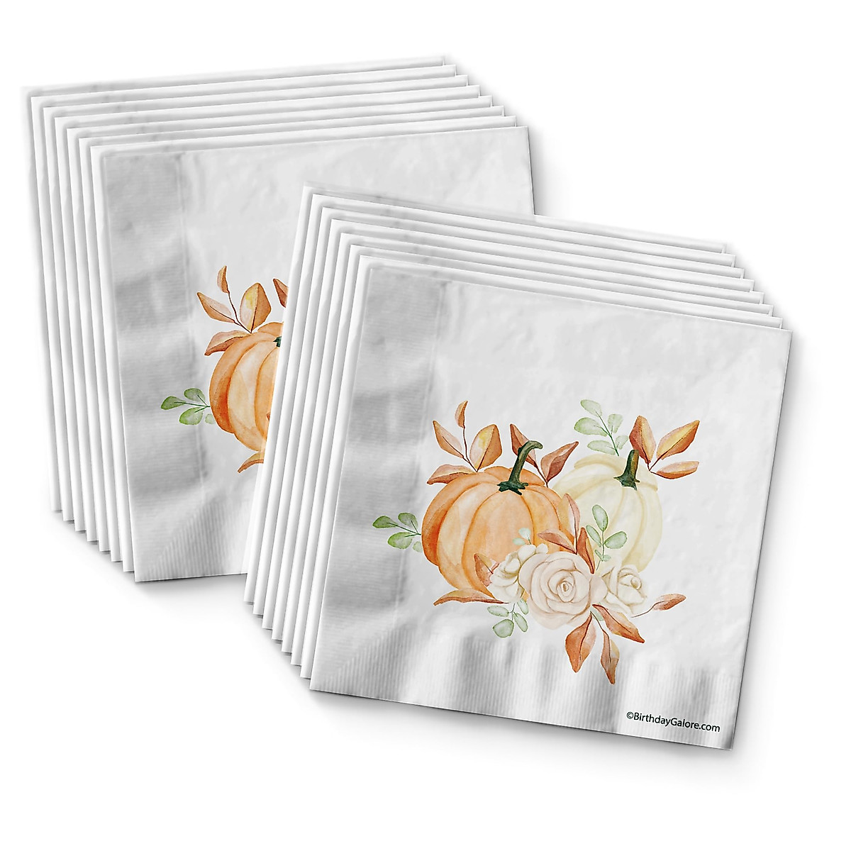 Fall In Love Bridal Shower Party Supplies 64 Piece Tableware Set Includes Large 9" Paper Plates Dessert Plates, Cups and Napkins Kit for 16