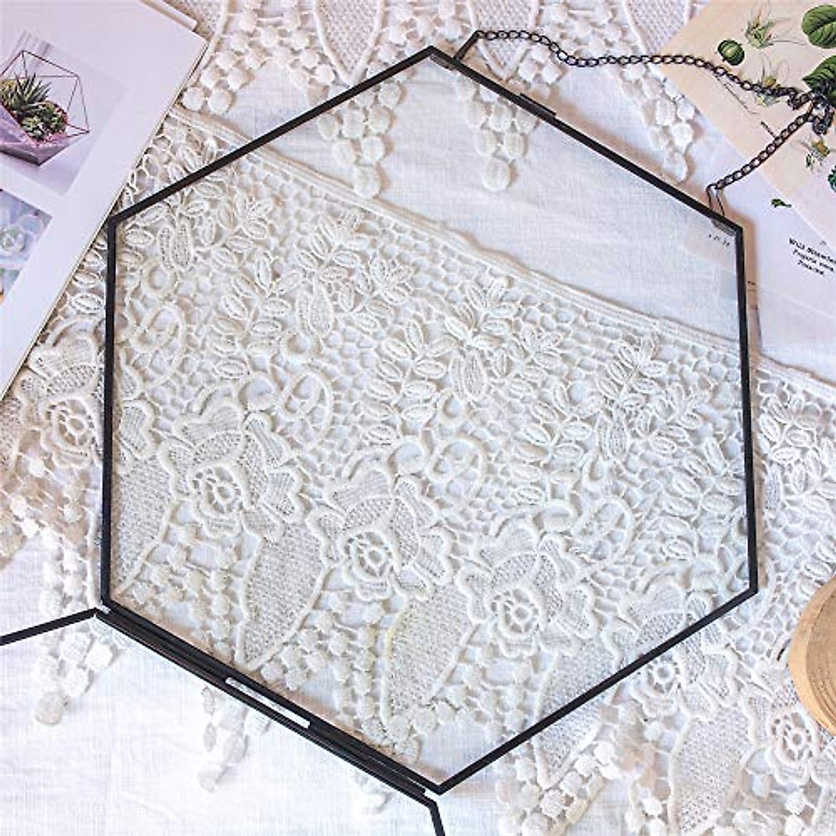 NCYP Side Length 6.8 inches Large Hanging Black Hexagon Herbarium Brass Glass Frame for Pressed Dried Flowers, Poster, Double Glass, Floating Frame Style, Glass Frame Only