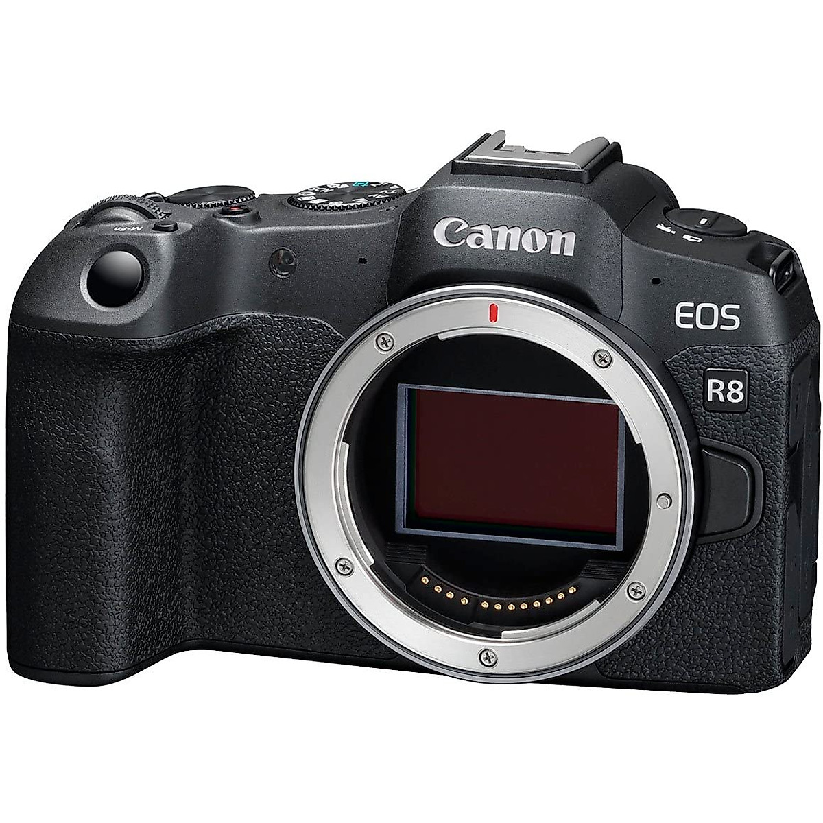 Canon EOS R8 Mirrorless Camera (Body Only) Enhanced with Professional Accessory Bundle - Includes 14 Items