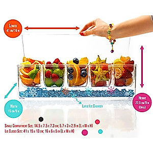 gesPINK Condiment Server with Small Lids, Bar Condiment Tray with Lid, Garnish Tray Bar Fruit Caddy with Lid, Chilled Condiment Server for Parties, Plus Utensils