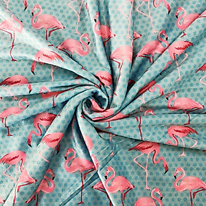 illikkuyax Baby Receiving Blanket, 30 x 47 Inches Plush Blanket with Double Layer Dotted Backing, Cozy Minky Fleece Flamingo Baby Blanket for Newborn Boys, Girls