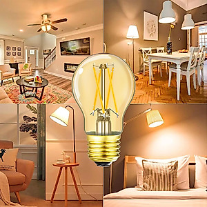 LEOOLS Dimmable E26 Amber led Bulb 6W Equal 60 watt Vintage LED Edison Bulb AC120V 2700K A15 LED Bulb for Ceiling Fan Light Bulbs,Refrigerator Light Bulb 600LM 6Pack