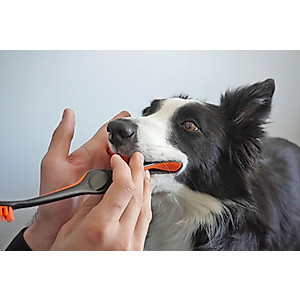 Brushmate Dog Toothbrush for Pet Puppies Dogs and Cats Dual Size Angled Soft Brush Heads, Ergonomic Handle with a Flat Center That enhances Grip Control