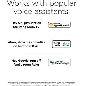Roku Streaming Stick 4K 2021 Streaming Device with Roku Voice Remote and TV Controls 4K/HDR/Dolby Vision & Bundle Swanky Cables HDMI Cable and TV Cleaning Kit