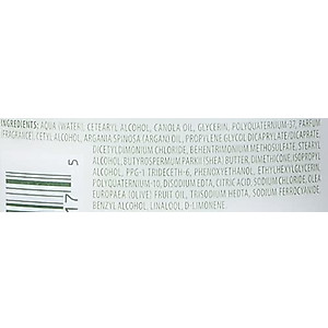 Cantu Argan Oil Leave-In Conditioning Repair, Cream 16 Ounce