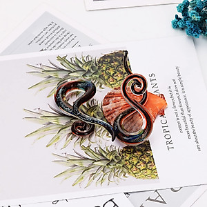 Longbeauty 2pcs Glass Ear Tapers 4G-00G Teardrop Spiral Gauges Plugs Ear Piercing Jewelry