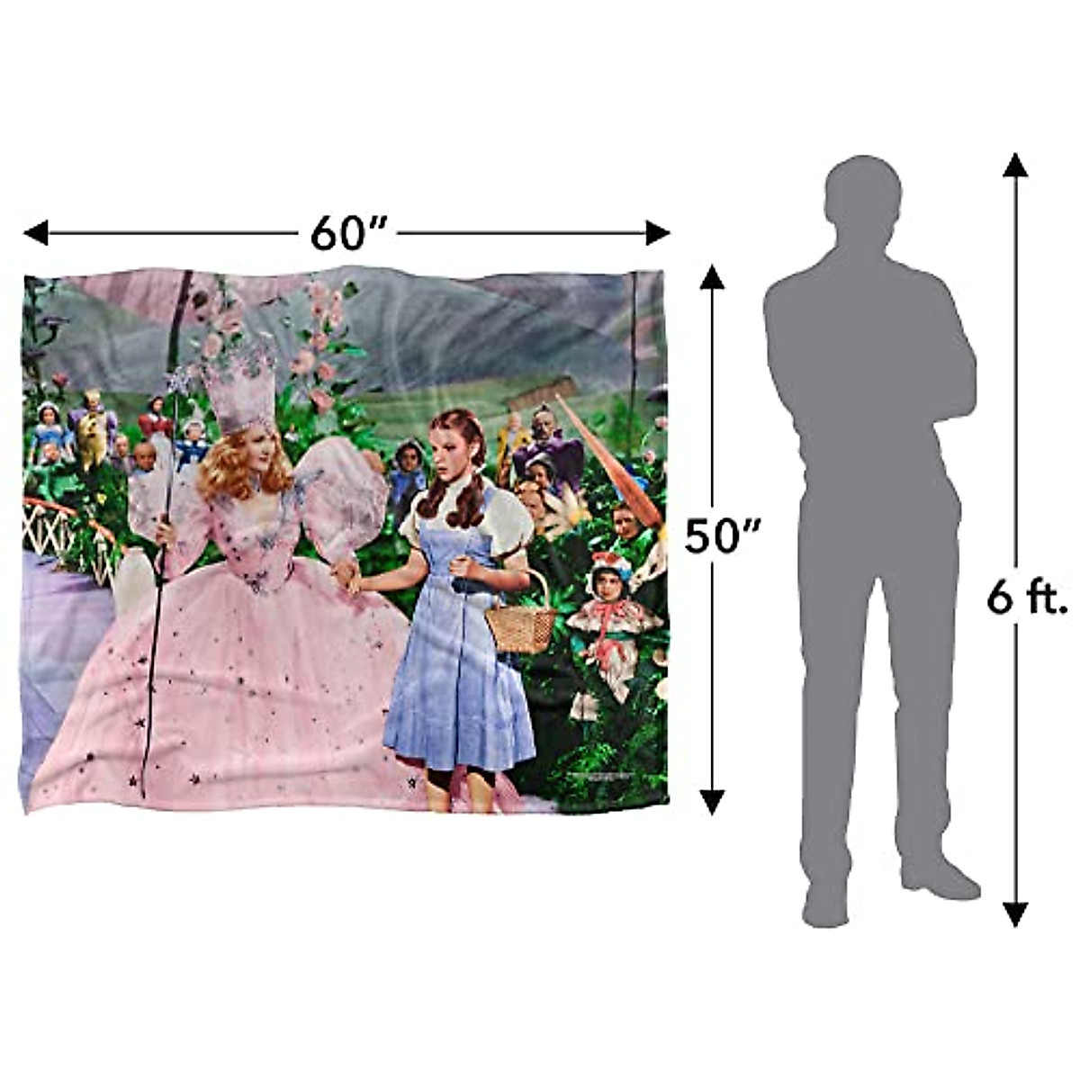 The Wizard of Oz Stanley Desantis Vintage Dorothy and Glinda Silky Touch Super Soft Throw Blanket 50" x 60"