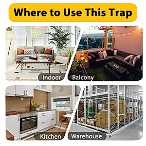 Mouse Trap Bucket,Bucket Lid Mouse Rat Trap, Reusable Humane Mouse Traps for Indoor Outdoor，Automatic Reset Bucket Lid Mouse Trap，5 Gallon Bucket Compatible（3 Pack Cat Style）