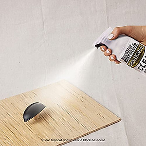Rust-Oleum 302151 Universal All Surface Clear Topcoat Spray, 11 oz, Dead Flat Clear