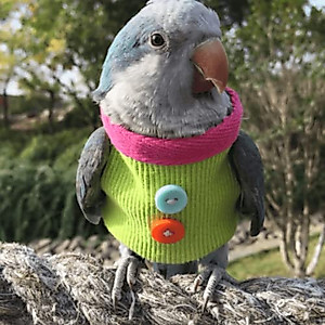 Barn Eleven Parrot Bird Supplies, Light Flying Clothes, Suitable for All Seasons Warm and Comfortable for Small Medium Large Bird Green Cheek Parrot Mynah Senegal Parrot Mini Macaw (Small,Green)