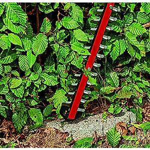 Einhell Arcurra Hedge Raker, Tool Only (Battery and Charger Not Included)