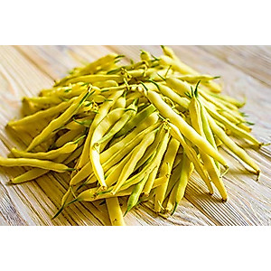Golden Wax Bush Bean Plant Seeds, 50 Heirloom Seeds Per Packet, Non GMO Seeds, (Isla's Garden Seeds), Botanical Name: Phaseolus vulgaris, 85% Germination Rates