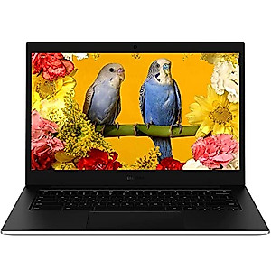 SAMSUNG Galaxy Chromebook Go 14" Laptop for Student, Intel Celeron N4500 Processor up to 2.8GHz, 4GB LPDDR4 RAM, 64GB eMMC, WiFi 6, Silver, Chrome OS, DAODYANG