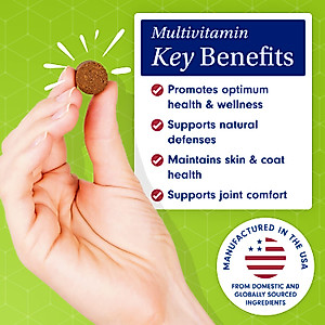 PetLab Co – Multi-Vitamin & Dog Probiotic Bundle: Chewable Multivitamins for Dogs Support Health & Dog Probiotics to Support Itchy Skin, Occasional Loose Stools, and Healthy Yeast Production