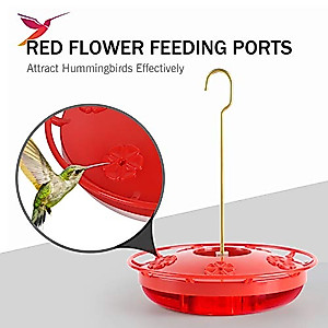eWonLife Hummingbird Feeder, for Outdoors Hanging, 2 Pack, Leak-Proof, Easy to Clean and Refill, Saucer Humming Bird Feeder, Including Hanging Hook, with 5 Feeding Ports (16 Ounce/Pack)