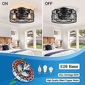 haodengshi Caged Ceiling Fan with Light, 20 In Ceiling Fan Lights with Remote, 3 Speeds Adjustable Black Enclosed Farmhouse Industrial Flush Mount Ceiling Fan for Kitchen Bedroom