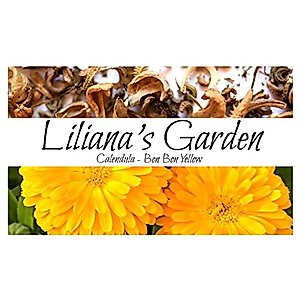 Flower Seeds - Calendula - Bon Bon Yellow - Annual - Saffron Replacement - Liliana's Garden