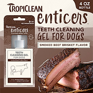 TropiClean Enticers Dog Teeth Cleaning Treat Gel | Smoked Beef Flavored Dog Toothpaste Alternative | 4 oz.