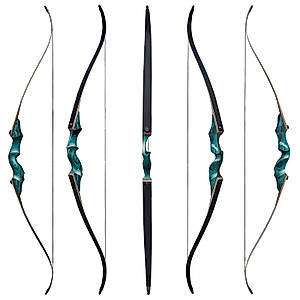 Black Hunter Original Recurve Bows Bow and Arrow for Adults Archery Set Hunting Bow 60" 20-60 lbs Right Hand Wooden Riser with Carbon Arrows and Bow Case for Outdoor Shooting Competition (45 lbs)