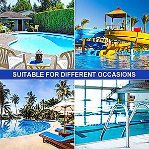 Andmax Pool Jet Vacuum Cleaner, Handheld Pool Leaf Vacuum with 5-Section Pole and Filter Bag, Pool Vacuum Brush, Ideal for Above Ground Pool Spa Pond Hot Tub & Fountains (No Garden Hose Included)