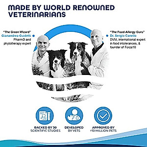 Forza10 Active Dry Weight Control Cat Food for Adult Cats, Dry Cat Food Weight Control for Overweight Cats and with Metabolism Disorders, Wild Caught Anchovy Flavor, 1 Pound Bag