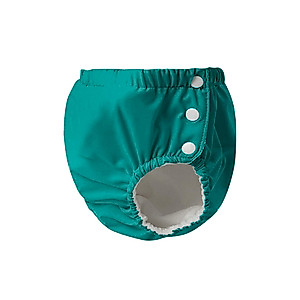 Century Star Baby Reusable Swim Diaper Pool Swimming Diapers for Toddler Boys Girls Washable Swimming Pants B Green & Blue 2-3T