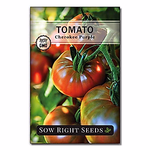 Sow Right Seeds - Beefsteak Style Tomato Seed Collection for Planting - Beefsteak, Kellogg's Breakfast, Cherokee Purple, & Ponderosa Pink - Non-GMO Heirloom Varieties to Plant a Home Vegetable Garden