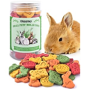 Bissap 32PCS Bunny Chew Toys, Mixed Natural Timothy Hay Pumpkin Strawberry Carrot Chinchillas Chewing Toys and Treats for Rabbit Bunny Guinea Pig Hamster Gerbil and Other Small Animals Molar Snacks