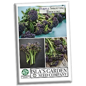 Purple Sprouting Broccoli Seeds, 500+ Heirloom Seeds Per Packet, (Isla's Garden Seeds), Non GMO Seeds, Botanical Name: Brassica oleracea, 85% Germination Rates