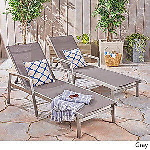 Christopher Knight Home Joy Outdoor Mesh and Aluminum Chaise Lounge (Set of 2), Gray