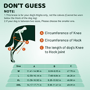VANYONI Dog Knee Brace for Torn ACL Hind Leg Dog Leg Braces for Back Leg Front Torn for Hip Dysplasia, Dog Arthritis, Luxating Patella