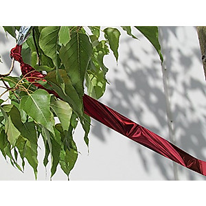 Bird B Gone MMFT-050 Flash Tape Bird Deterrent 1" x 50 ', Pack of 1