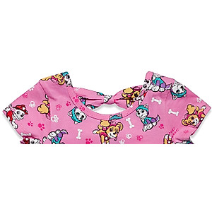 Paw Patrol Skye Marshall Everest Toddler Girls Skater Dress Pink 3T