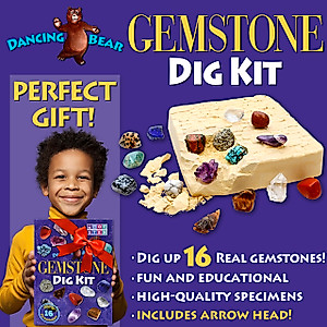 DANCING BEAR Gem Dig Kit - Excavate 16 Gems & Crystals Including Arrowheads, Quartz, Amethyst - STEM Education Gift Set for Kids