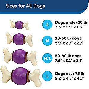 PetSafe Busy Buddy Bouncy Bone- Treat-Holding Toys for Dogs- Scented for Enhanced Sensory Stimulation- Rigorously Tested Ingredients- For Aggressive Chewers- Treat Rings Included- Purple, Medium