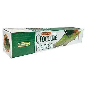 Streamline Imagined Crocodile Flower Planter Pot
